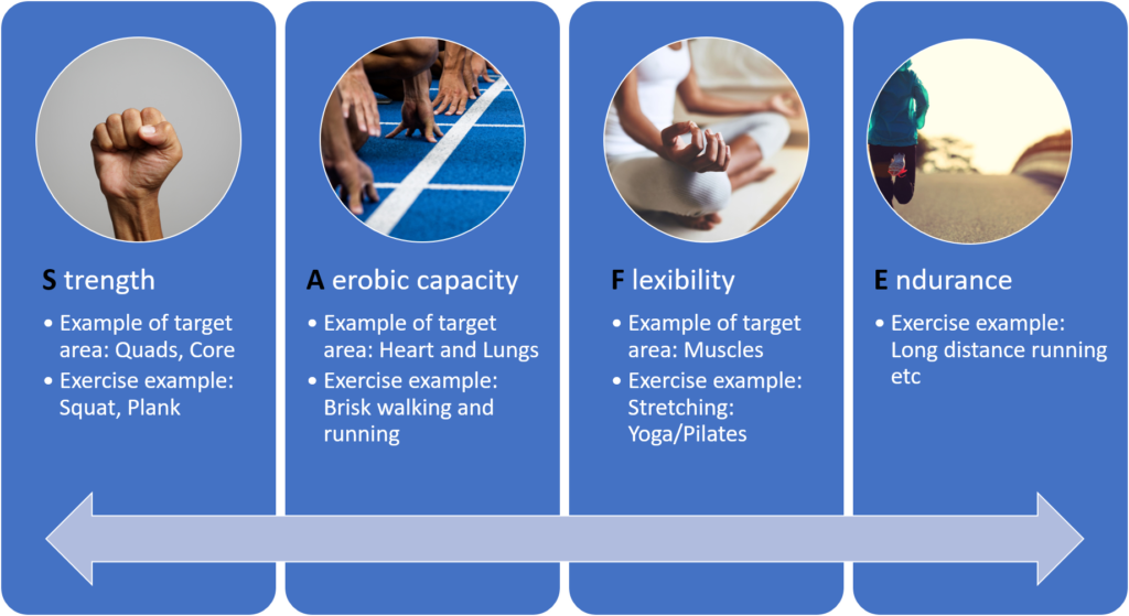 Module 5 – Fitness & Flexibility – Darren Whelan